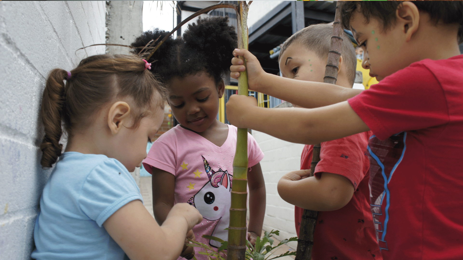 Fundación Ximena Rico Llano – Leemos vidas y escribimos sueños que ...